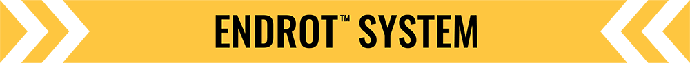 RotFix | Penetrating Epoxy Wood Sealer - System Three Resins